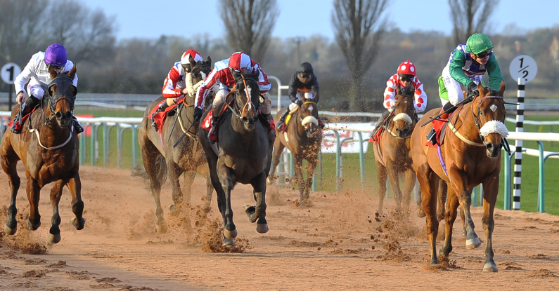 Leading Provider Of Horse Racing Software | Proform Racing